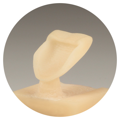 dental clinical milling | Roland